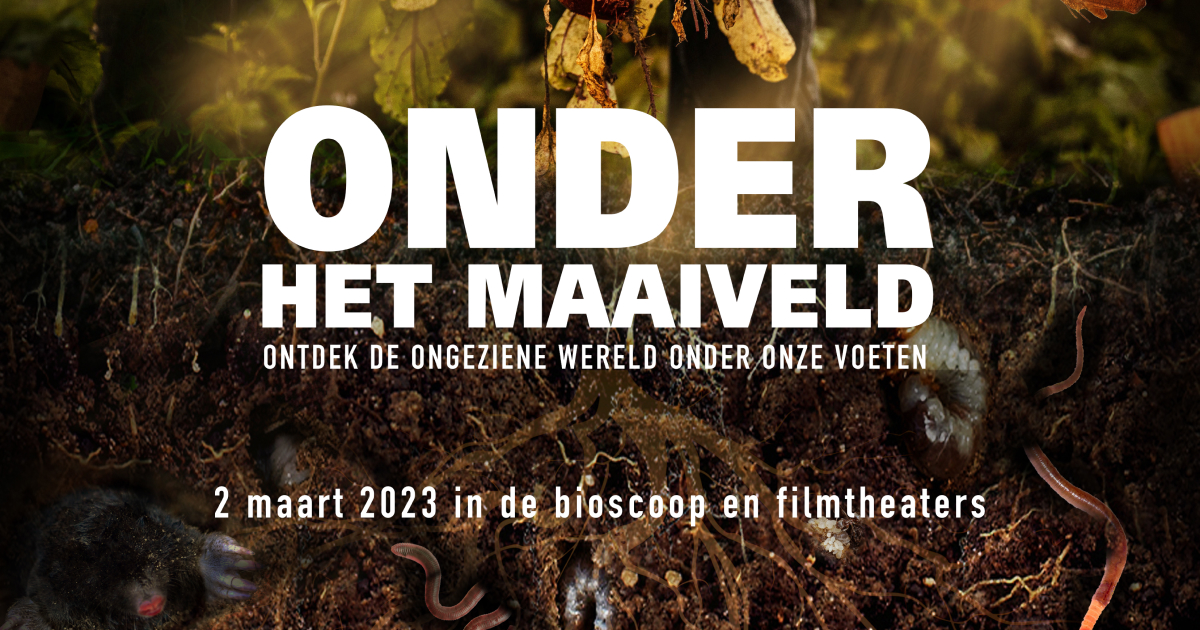 Onder het maaiveld film | Officiële Website | Trailer en tickets